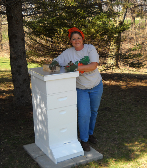 Our bee yard – Bee Lady Honey